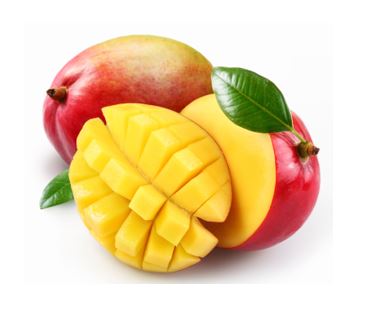 Managoes – Doc In the Boxxx